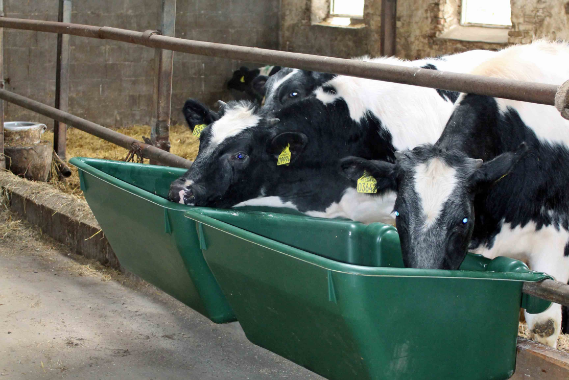 OK Plast | Creva International