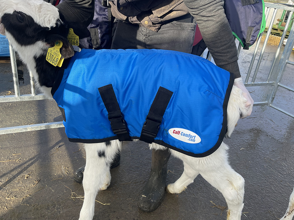 Calf-Comfort Calf Jacket | Creva International