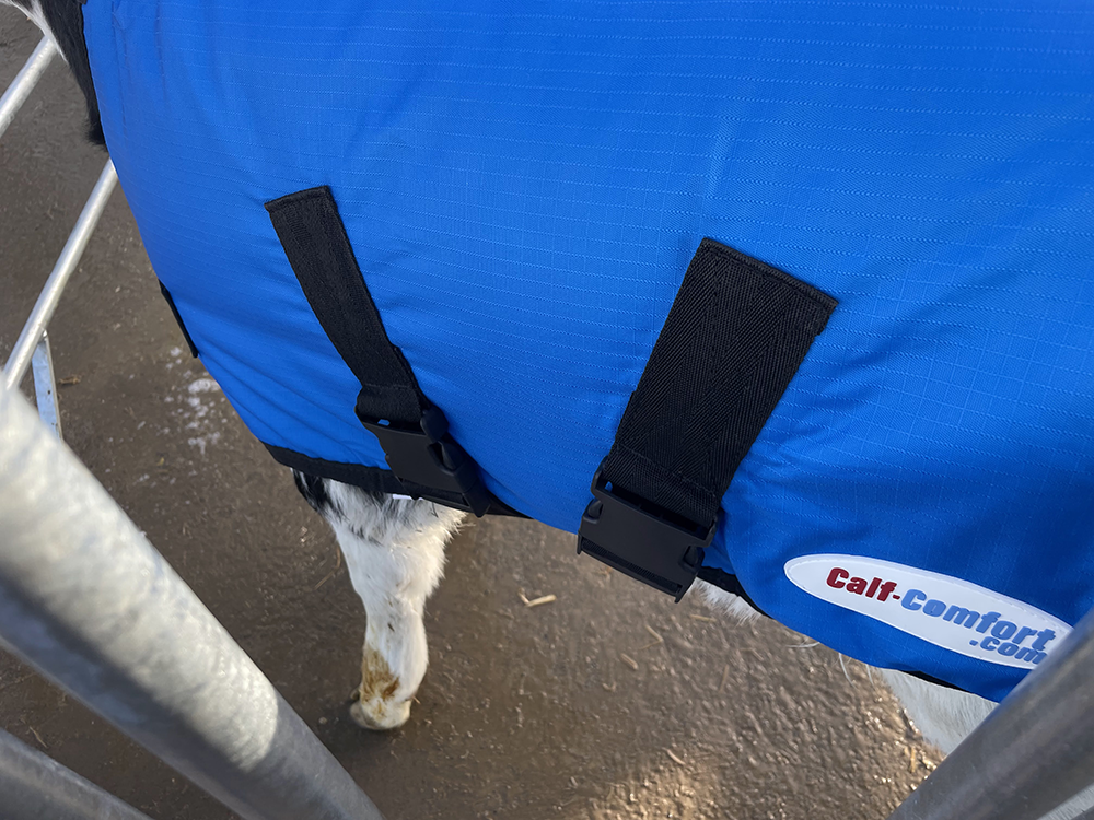 Calf-Comfort Calf Jacket | Creva International