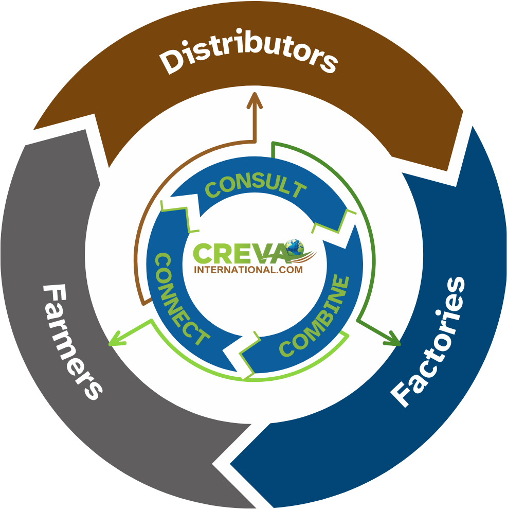 Our Story | Creva International